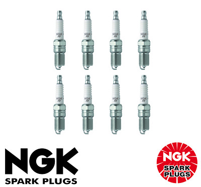 8 x NGK SPARK PLUGS - for Holden Berlina VP 5.0L V8 (304 LB9) | eBay ...