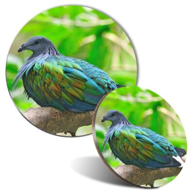 Mouse Mat & Coaster Set Nicobar Pigeon Perched Loafing Bird #51563 | eBay