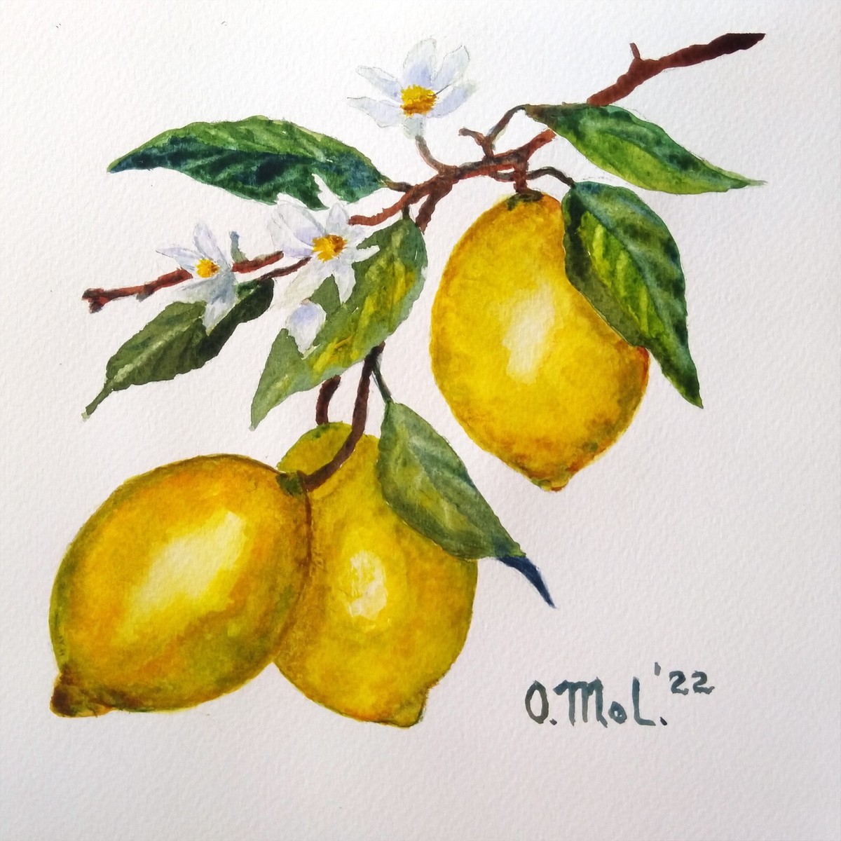 Lemon Art