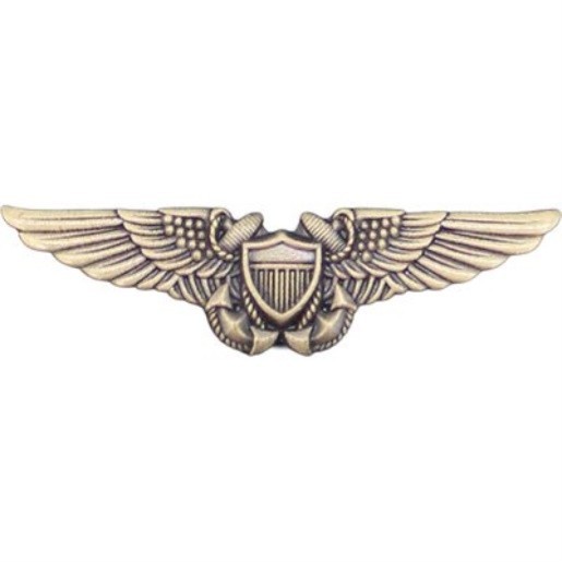 UNITED STATES NAVY Flight Officer Wing Lapel Pin NFO | eBay