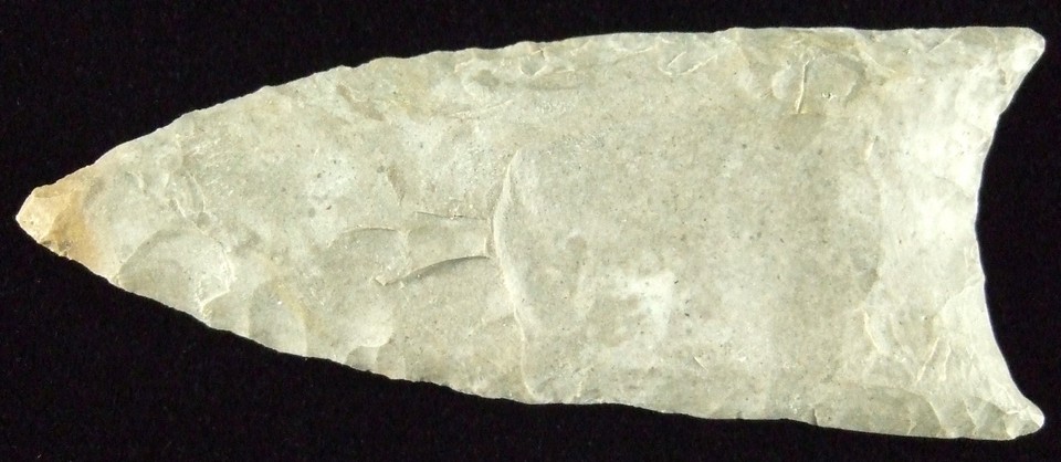 Exceptionally Fine 2 7/8 inch Tennessee Clovis Point with COA Arrowheads | eBay