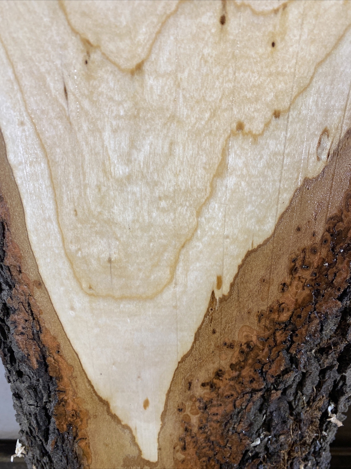 (2) live edge black Cherry Boards Kiln dried and planed 1.25”x8-11”x21 ...