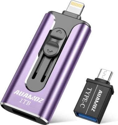 EasyFlash USB iOS Memory Stick Photo Stick External Storage Thumb Drive ...