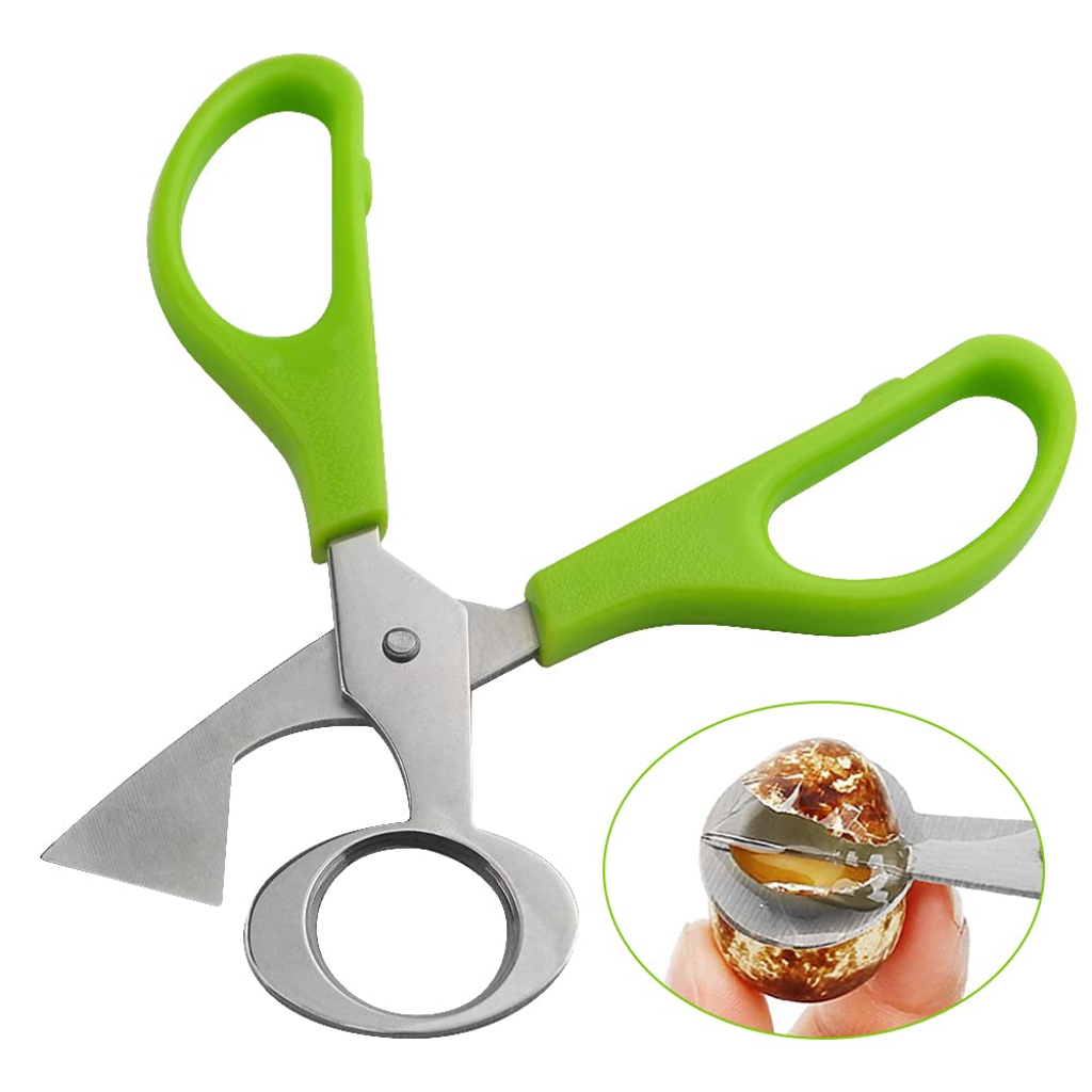 Quail Egg Cutter Scissors Stainless Steel Pigeon Bird Egg Opener Pack ...