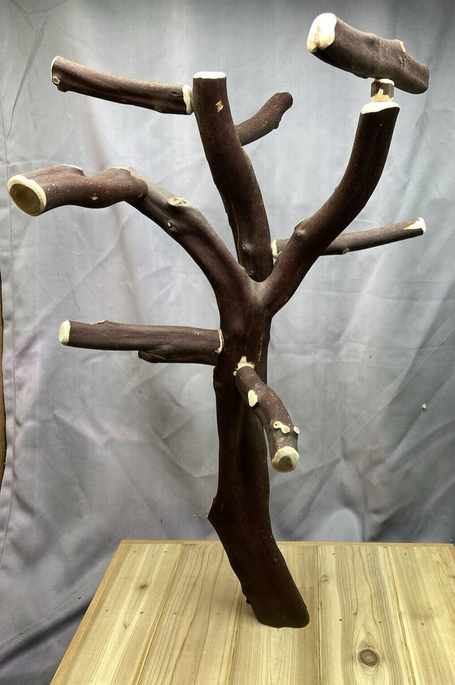 3FT Parrot African Grey Cockatoo MANZANITA Bird Stand Play Stand GYM ...