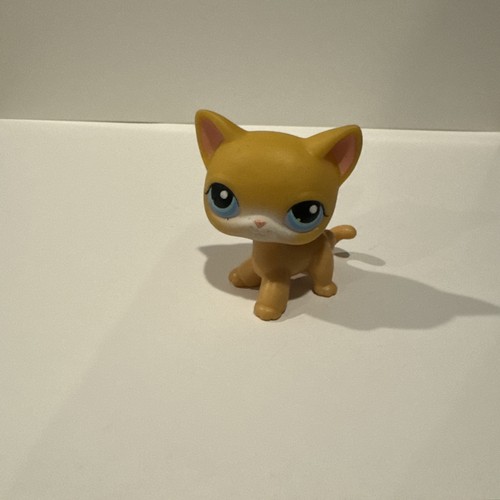 Littlest Pet Shop LPS Shorthair cat #71 AUTHENTIC | eBay