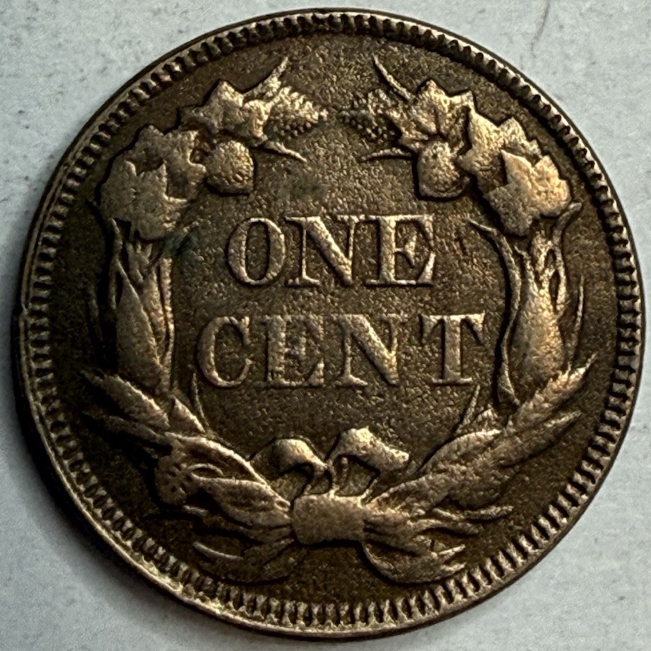 1857 - Flying Eagle Cent - XF Detail Porus Exact Coin Imaged #FLY36 | eBay