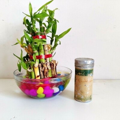 1950s Vintage Combizym Digestive Enzymes Advertising Medicine Metal Box ...