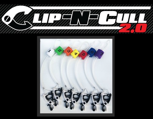 Cal Coast Fishing CNC2 Premium Puncture Free Culling System for sale ...