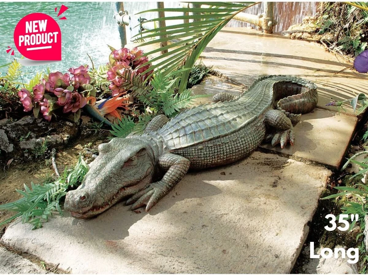 Long Tailed Swamp Alligators