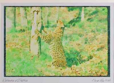 Big Cat 134055 Leopard Scratching A Tree A4 Watercolour print | eBay