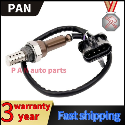Oxygen Sensor For ODES 1000 800 Dominator D2 D4 X2 X4 Raider Assailant ...