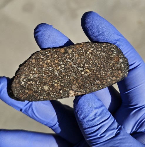 Meteorite**NWA 16800; CV3 Carbonaceous**19.010 gram full slice, W/Rare ...