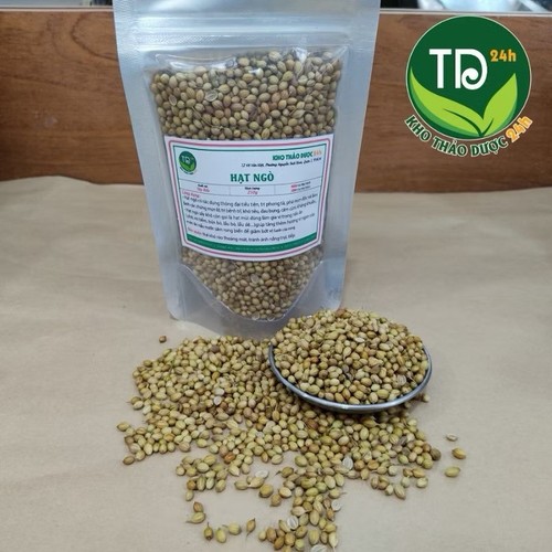 Hạt Ngò, Hạt Mùi Khô Hat Ngo 100% Organic Coriander Seeds Vietnamese ...
