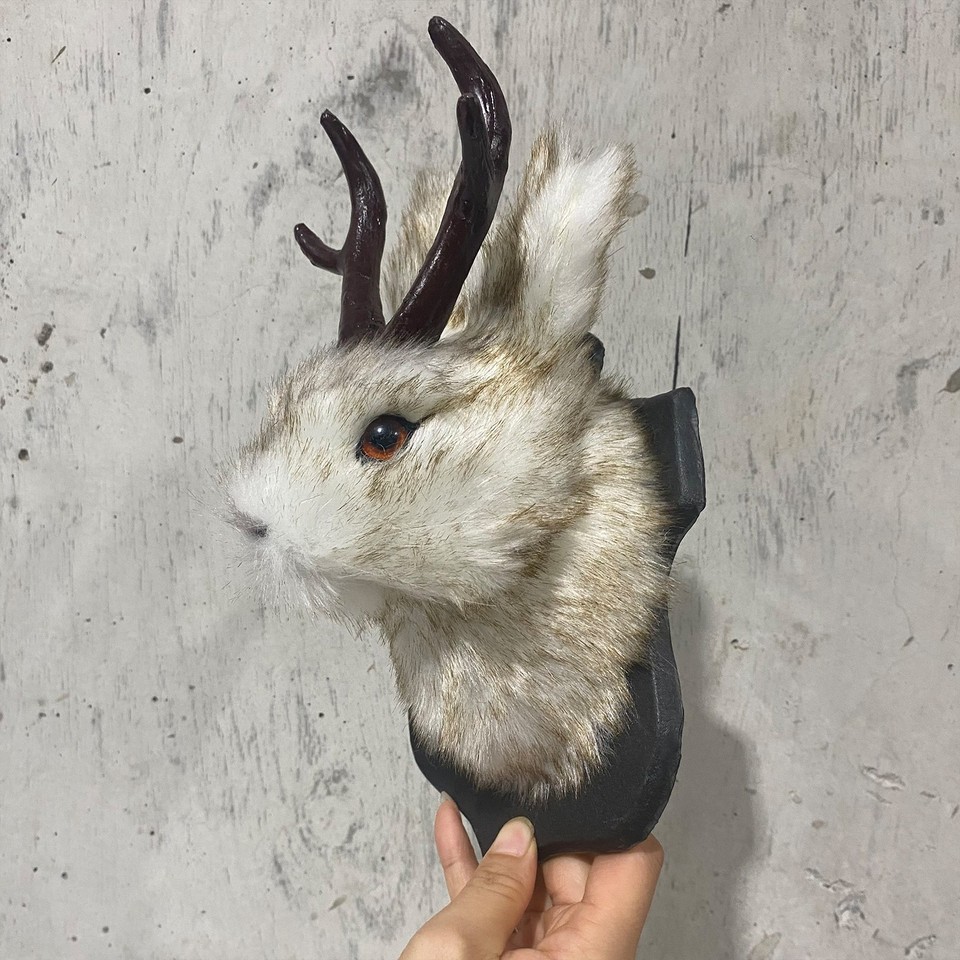 Jackalope Mount, Jackalope Taxidermy, Animal Head Wall Decor Deer Head ...
