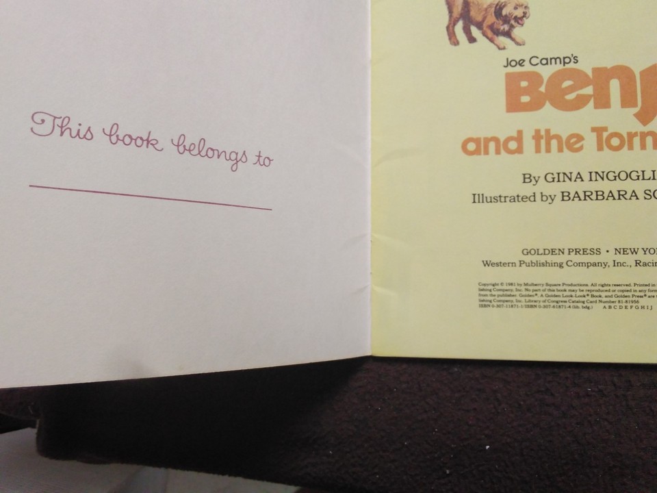 BENJI AND THE TORNADO by JOE CAMP PAPERBACK BOOK VERY CLEAN | eBay