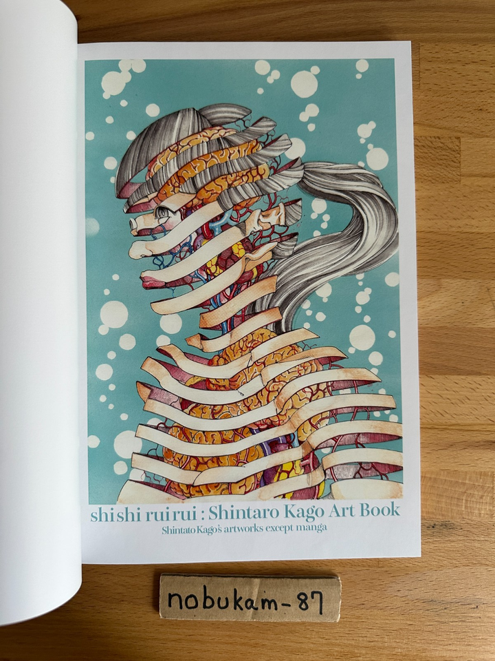 Shintaro Kago Art Book Shishi Ruirui New edition 2023 | eBay