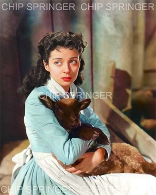 GAIL RUSSELL Portrait #803 | Stunning 8x10 Color Photo by CHIP SPRINGER ...