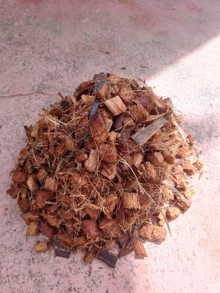 Ceylon Organic Dry Coconut Husk Fiber Chips Coco Coir Chips Anthurium ...