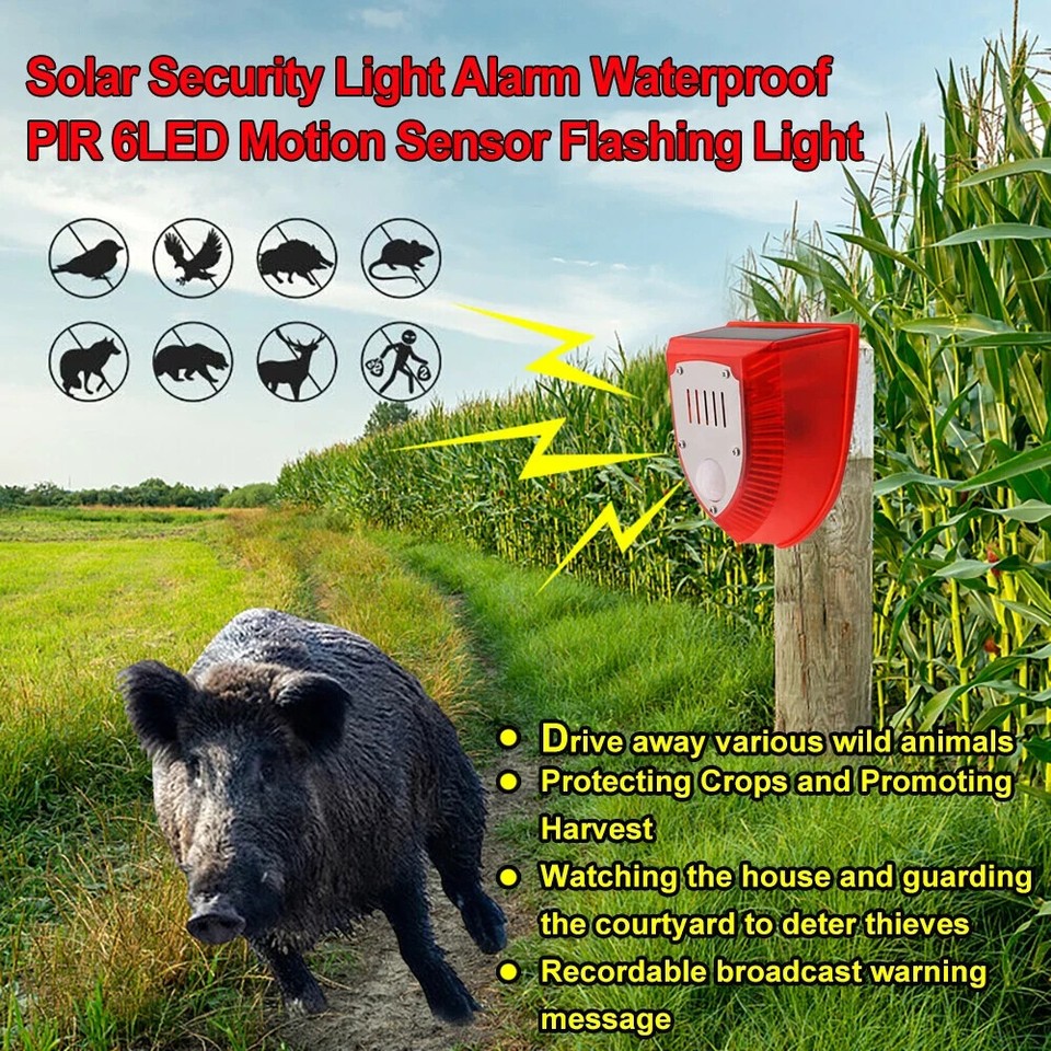 Solar Alarm LED Light Strobe Light Wireless Motion Sensor Detector ...
