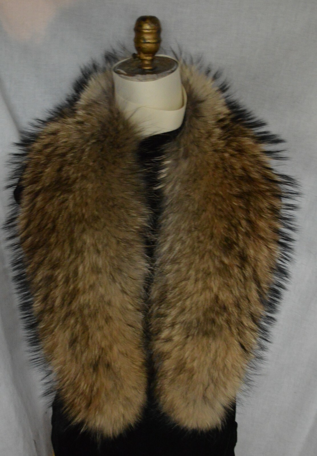Real Finn Raccoon Fur Collar Finnish Men Women Detachable New | eBay