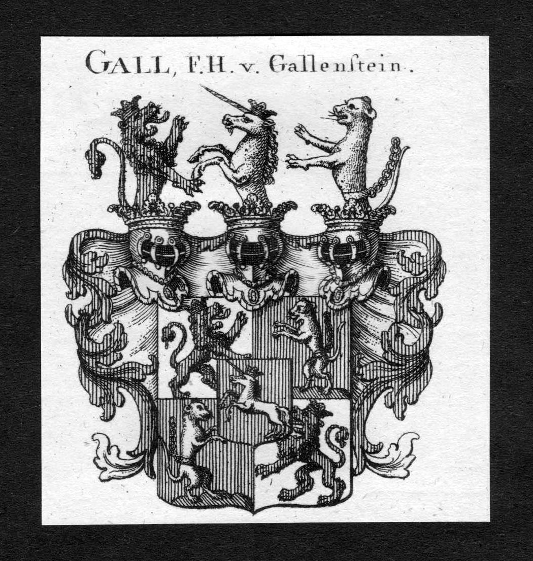 1820 GALLO De Gallenstein ESCUDO De ARMAS HERÁLDICA HERÁLDICA Grabado ...