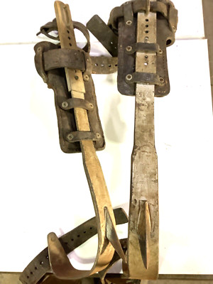 Equipment - Buckingham Tree Climbing