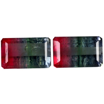 13.90 ct (2pcs) MATCHING PAIR Octagon Shape (15 x 9 mm) Watermelon ...