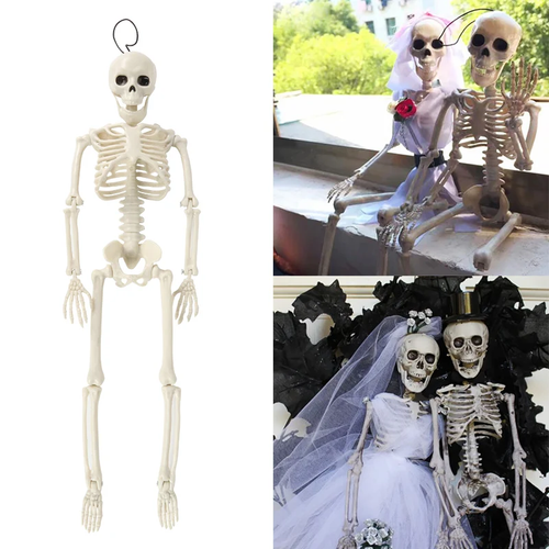 Skeleton Full Life Size Poseable Human Halloween Party Prop Haunted ...