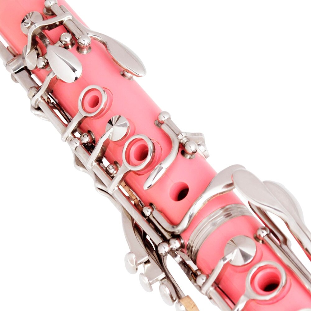 Pink Clarinet Instrument