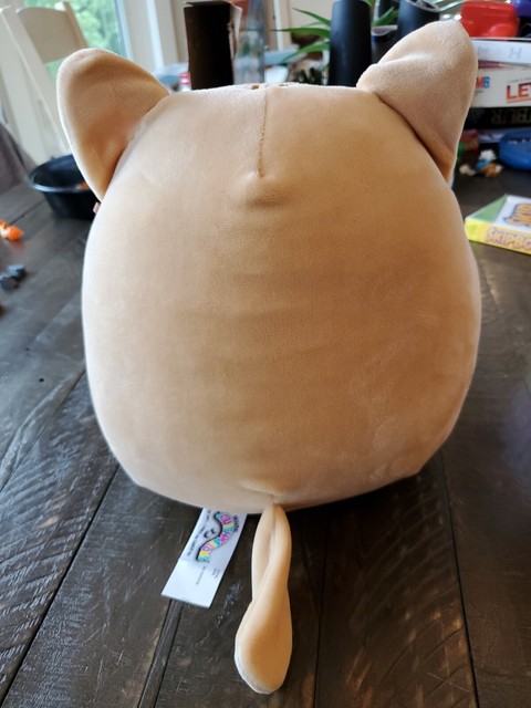 Squishmallow 8” Nathan The Cat Valentine 2021 Plush Toy Pillow Ship for ...