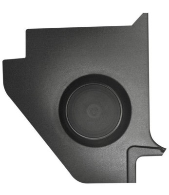 KICK PANELS 60 61 62 63 64 65 Ford Ranchero with 250 WATT Pioneer ...