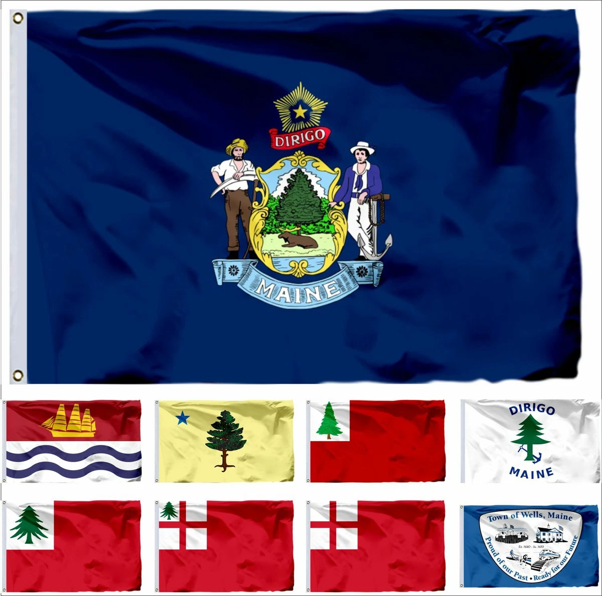Maines State Flag