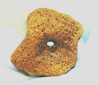 Pacific Islands & Oceania - Poi Pounder - Vatican