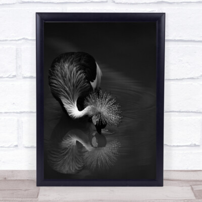 The Reflection Bird Water Mirror Wildlife Wild Animal Nature Wall Art ...
