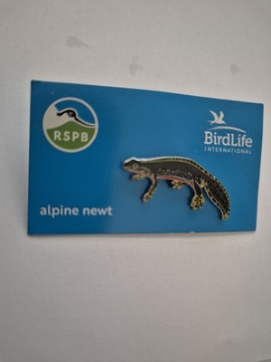 Rspb International Birdlife pin badge Pond Turtle | eBay UK