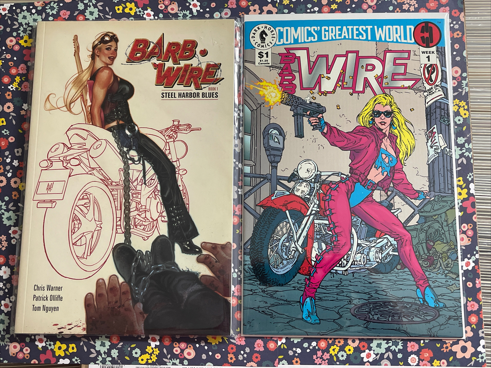 BARB WIRE vol. 1 STEEL HARBOR BLUES TPB ADAM HUGHES COVER + 1st app key ...