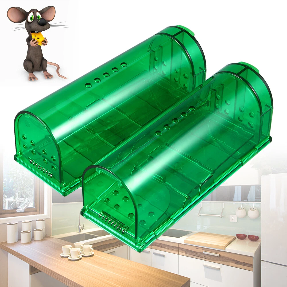 Humane Mouse Traps That Work