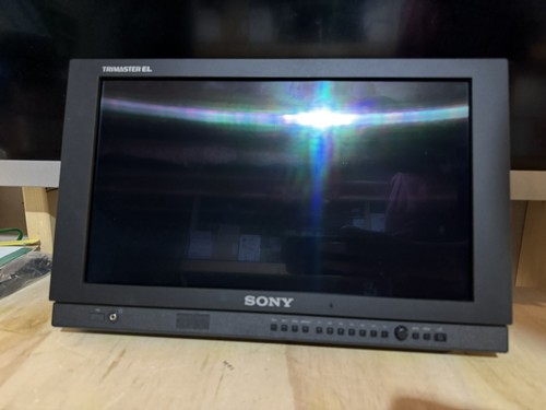 Sony PVM-A170 17" Professional OLED Display | eBay