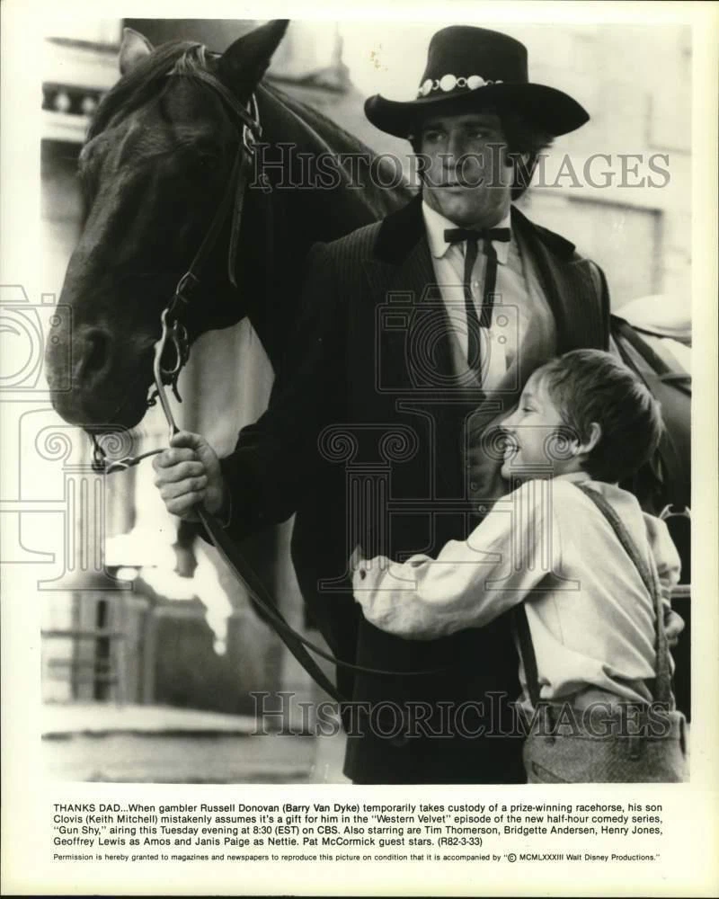 Actor Barry Van Dyke