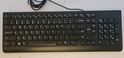 Lenovo EKB-536A SD50L21415 Wired USB PC Multimedia Keyboard (Black) | eBay
