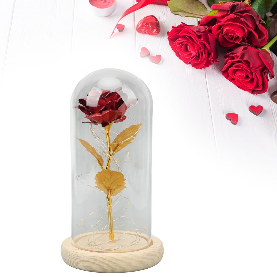 Dome Glass And Red Rose Glossy Enchanted Rose Romantic Gifts Beautiful ...