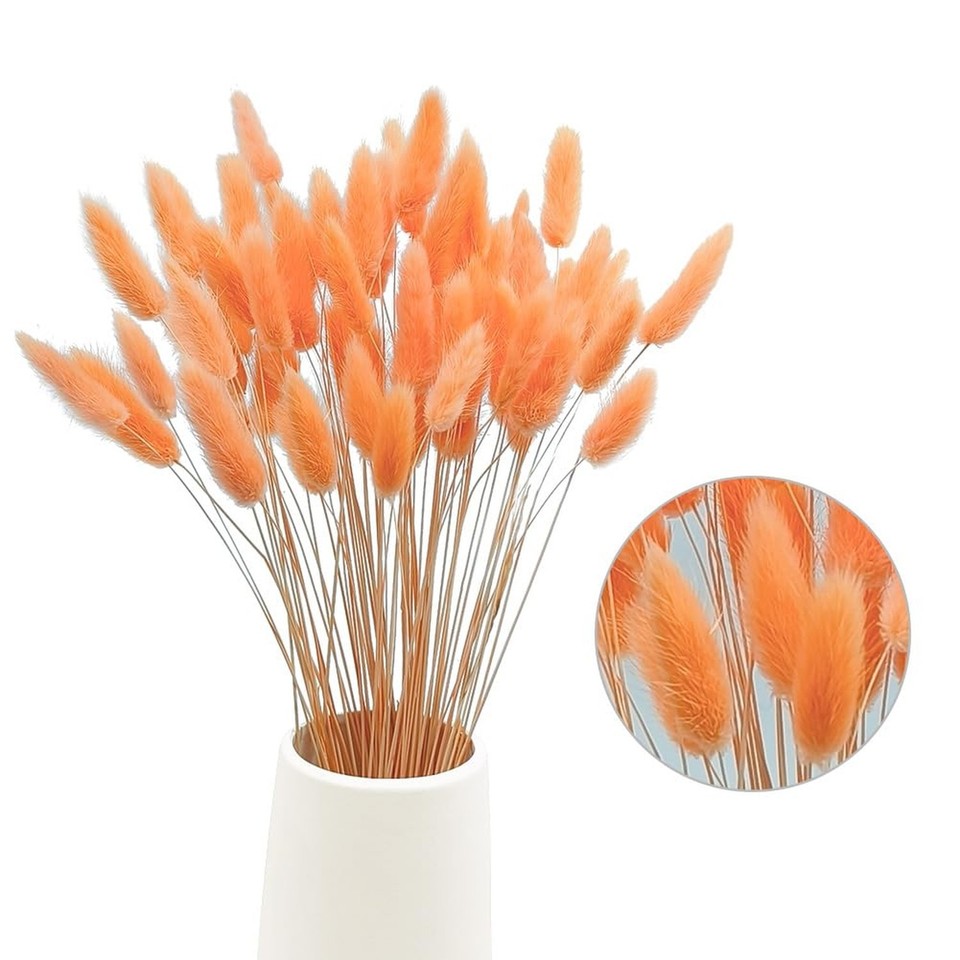 Orange Bunny Tails Pampas Grass 120pcs, 17'' Lagurus Ovatus Rabbit Tail Dried... | eBay