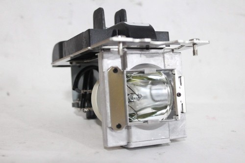 Digital Projection 113-628C Projector Lamp (C1597-191) | eBay