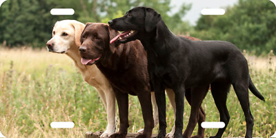 Full House Labrador Puppies Printed License Plate - Made in USA #424 | eBay