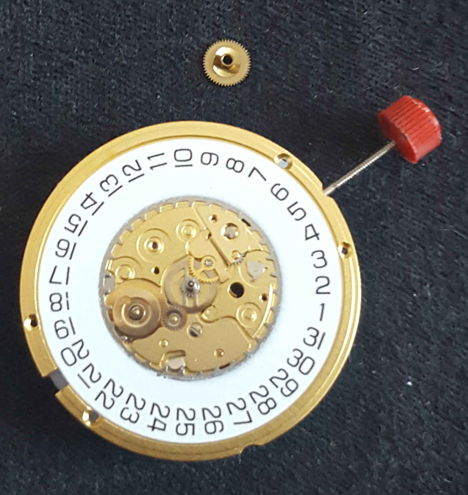 ETA Movement Caliber 255.611 Hour Wheel Height 1.04mm | eBay