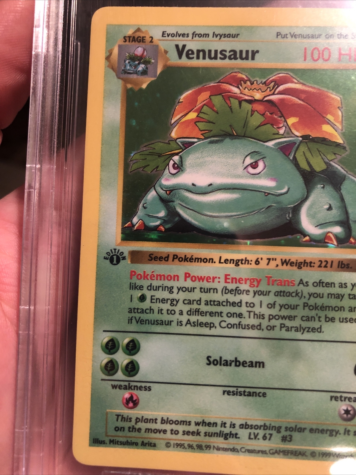 Pok%C3%A9mon+TCG+Venusaur+Base+Set+15%2F102+Holo+1st+Edition+Holo+Rare ...