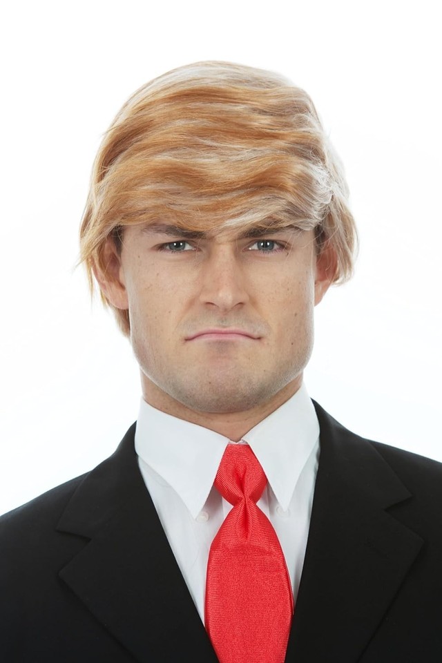 Iconic Blonde Comb-Over Wig – Funny Costume Hairpiece for Adults ...