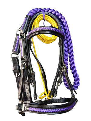 Premium Bridle set | eBay
