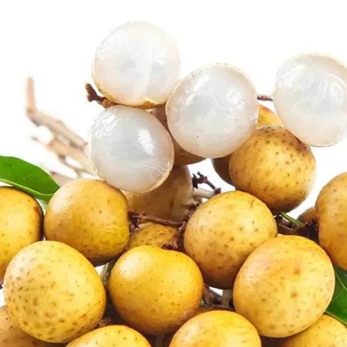 Longan Dimocarpus longan Lour Extract Powder 10:1/20:1/30:1/50:1 Long ...